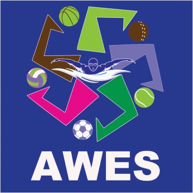Goa's Association for the Wellbeing of Elder Sportspersons (AWES) names ...