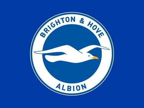 Moises Caicedo signs new long-term Brighton & Hove Albion contract!